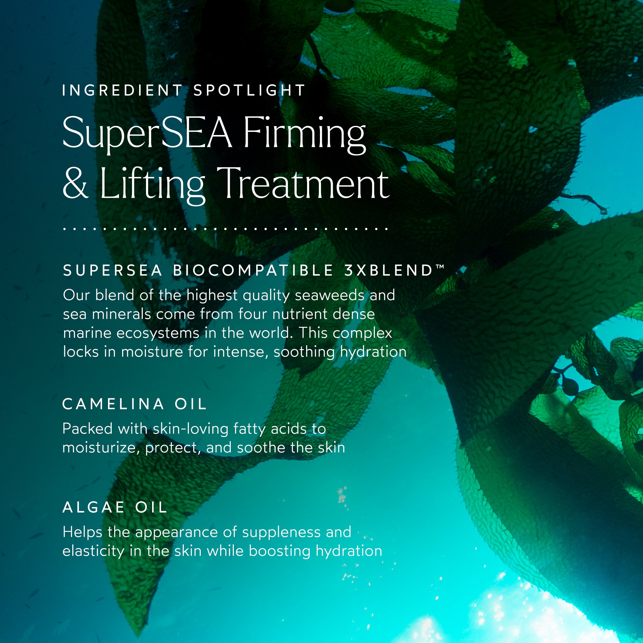 True Botanicals SuperSEA Firming & Lifting Treatment | The Detox Market
